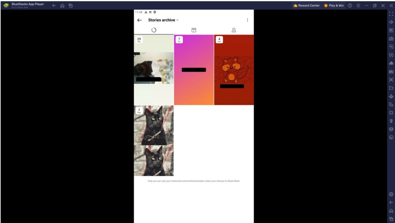 BlueStacks Instagram Stories Archive – Clepher